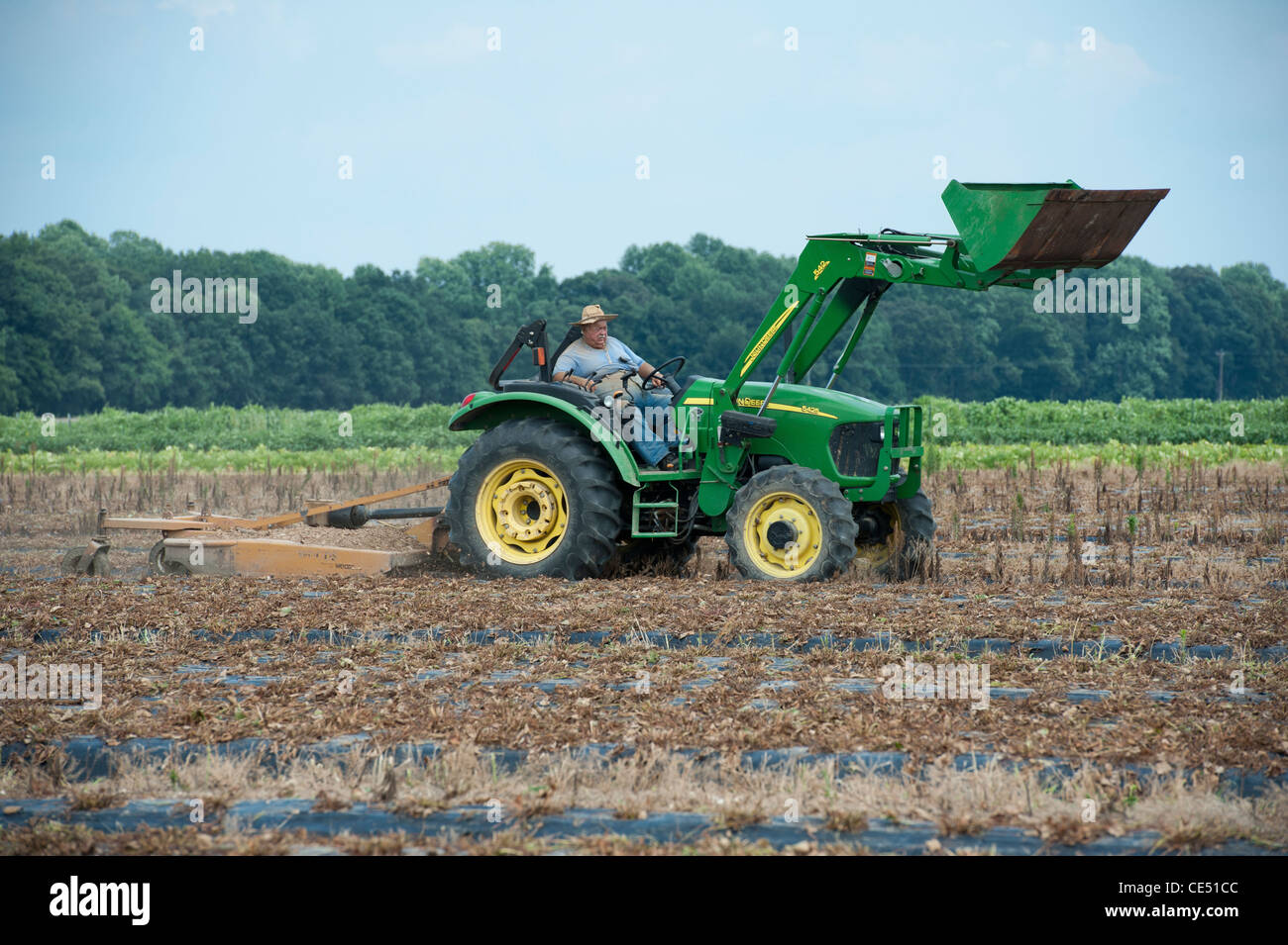 Man Betrieb einen Traktor im Feld auf einem Bauernhof Produkte ...