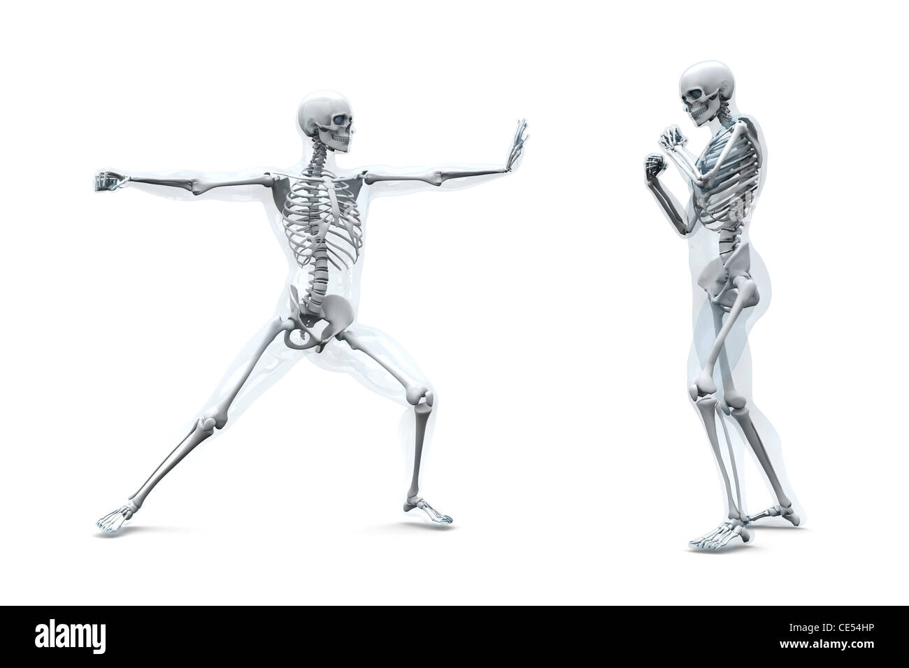 Bone Fight Fighting Stockfotos & Bone Fight Fighting Bilder - Alamy