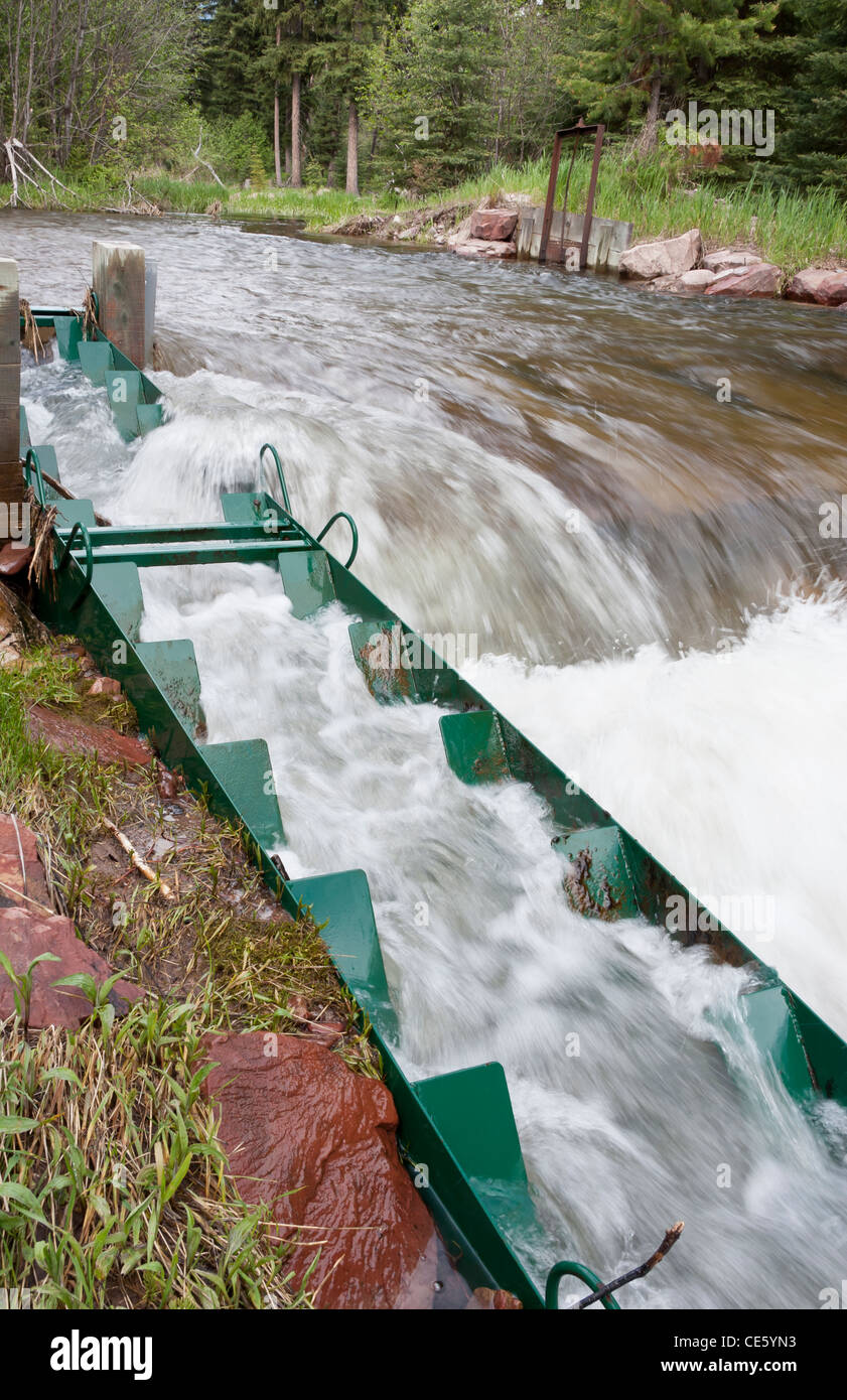 Eine Fischtreppe hilft Fisch Passage bis Creek Trail in Seeley Lake ...