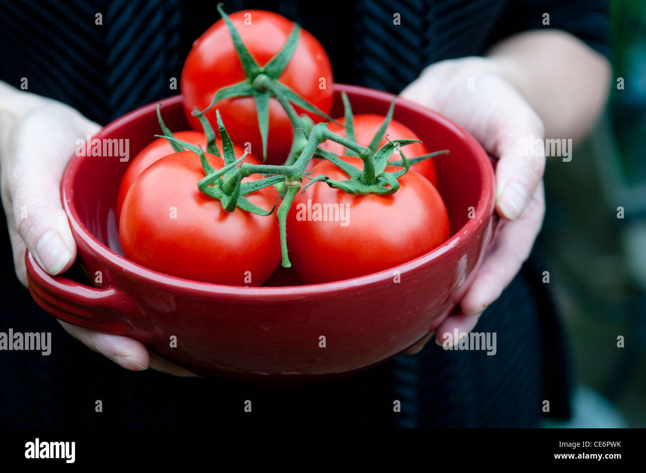 Lose tomaten -Fotos und -Bildmaterial in hoher Auflösung – Alamy