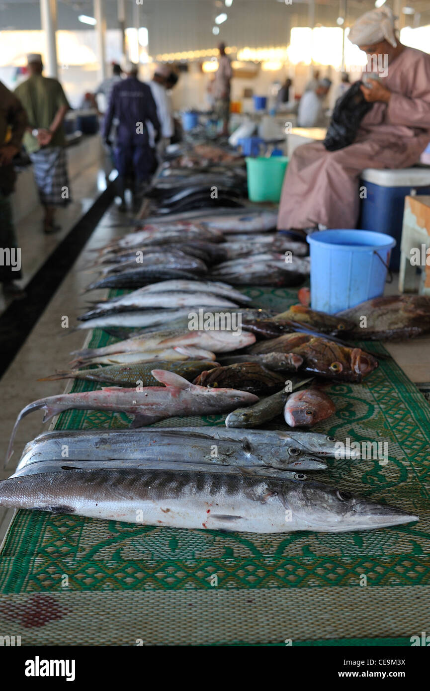 Muscat fish market -Fotos und -Bildmaterial in hoher Auflösung – Alamy