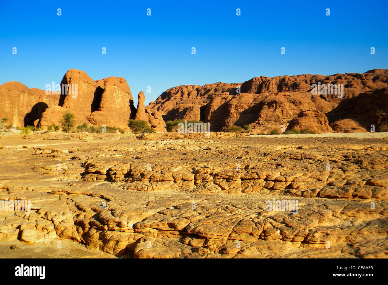Afrikanische sahelzone -Fotos und -Bildmaterial in hoher Auflösung ...