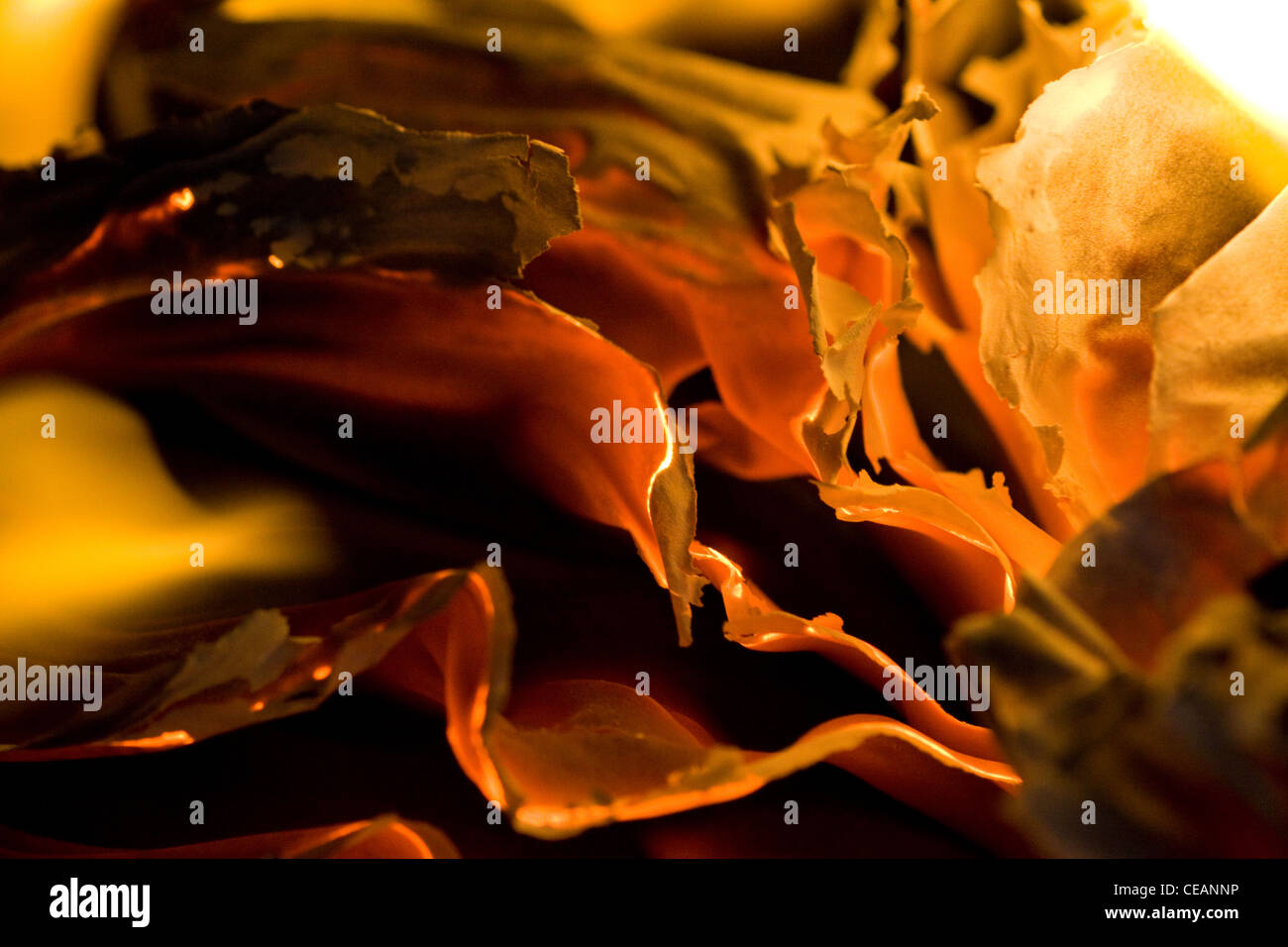 Verbranntes papier -Fotos und -Bildmaterial in hoher Auflösung – Alamy