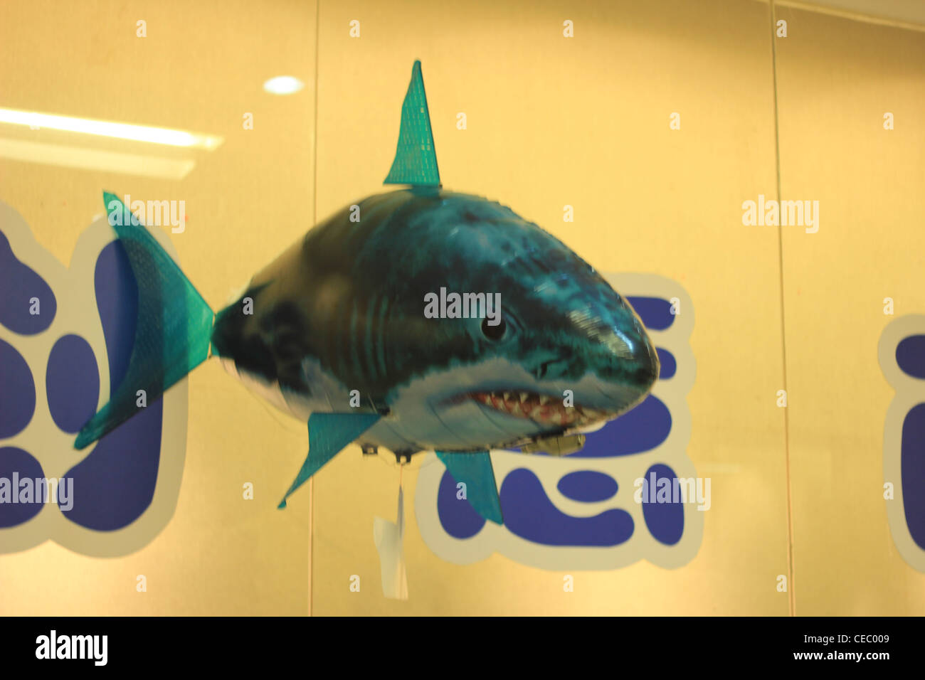 Cartoon hai -Fotos und -Bildmaterial in hoher Auflösung – Alamy