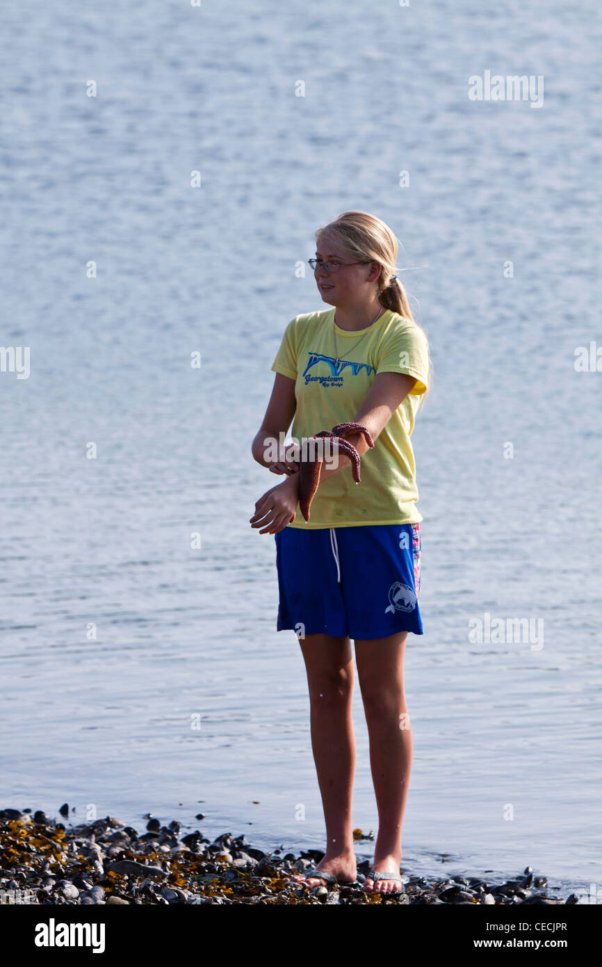 Riesen Seestern Stockfotos und -bilder Kaufen - Alamy