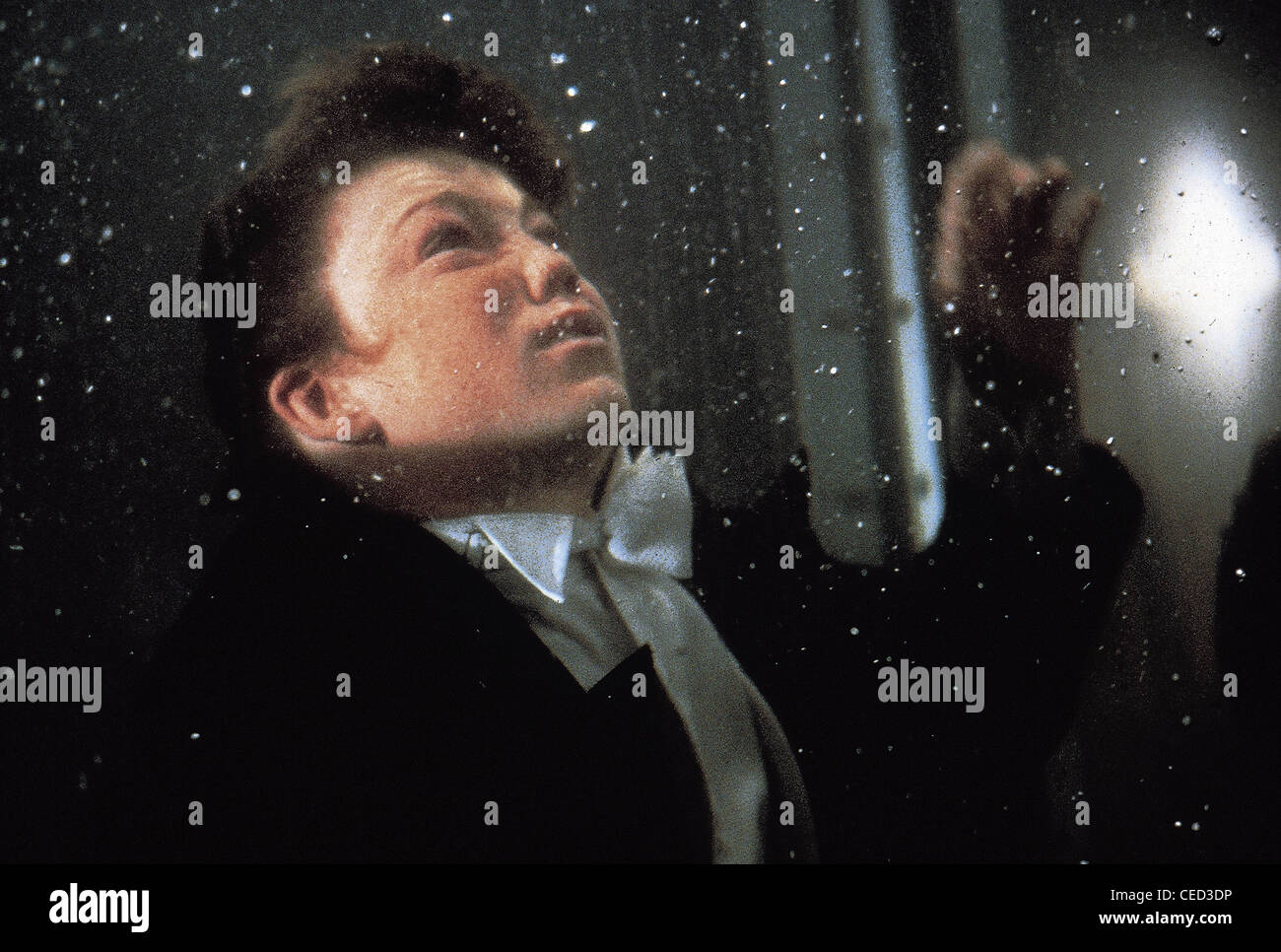 Caleb deschanel -Fotos und -Bildmaterial in hoher Auflösung – Alamy