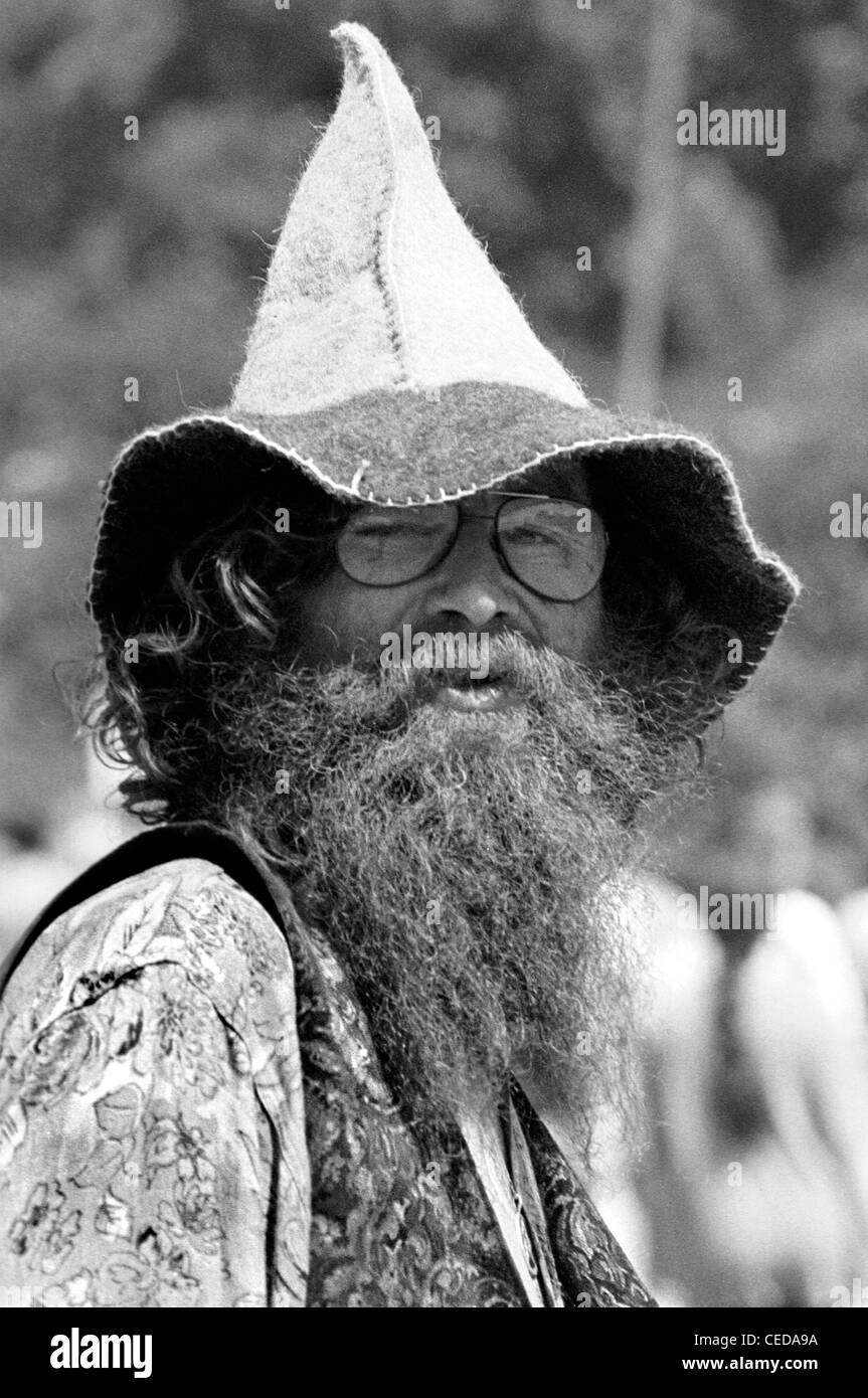 Wizard merlin -Fotos und -Bildmaterial in hoher Auflösung – Alamy