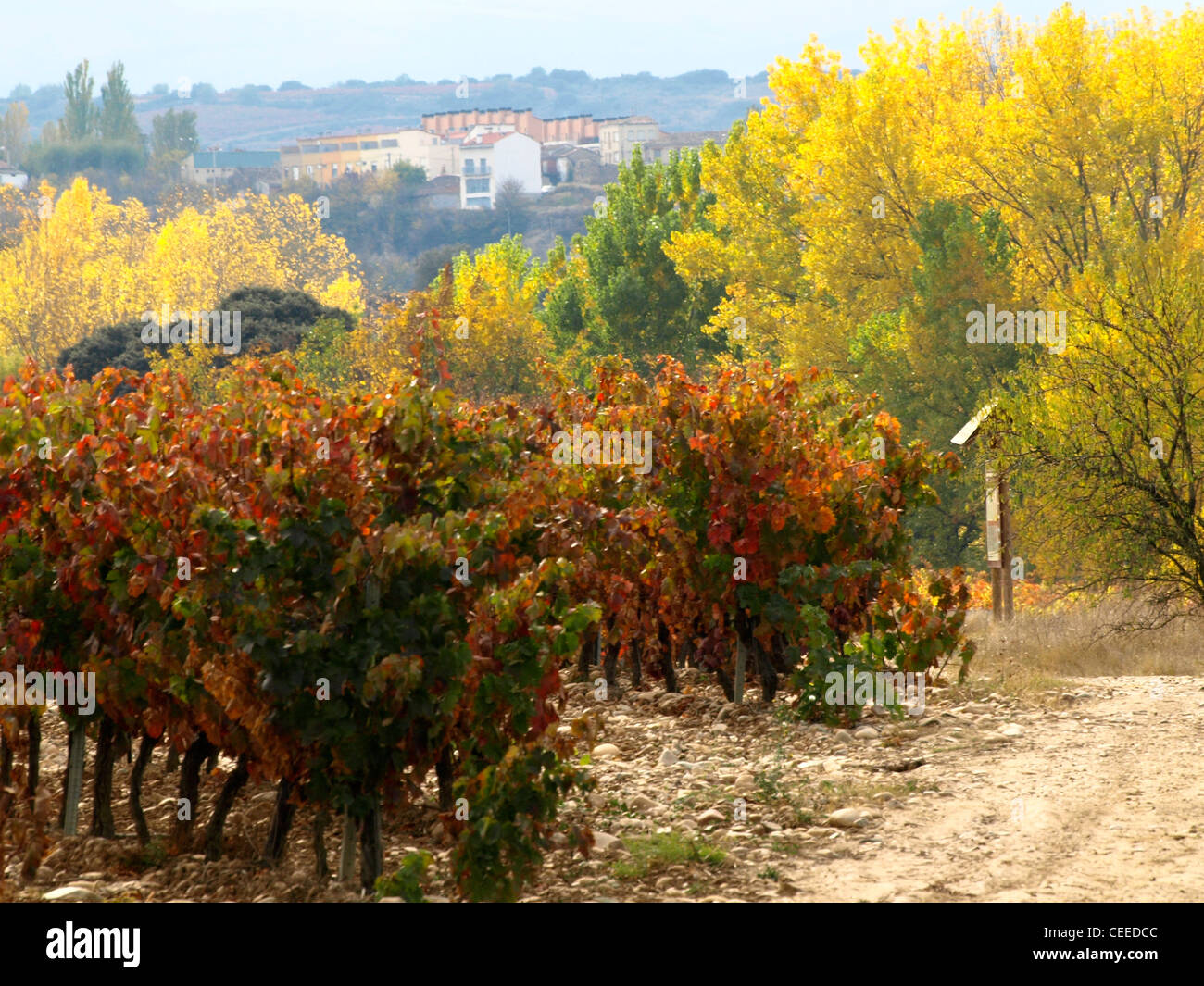 Spain la rioja region la -Fotos und -Bildmaterial in hoher Auflösung ...