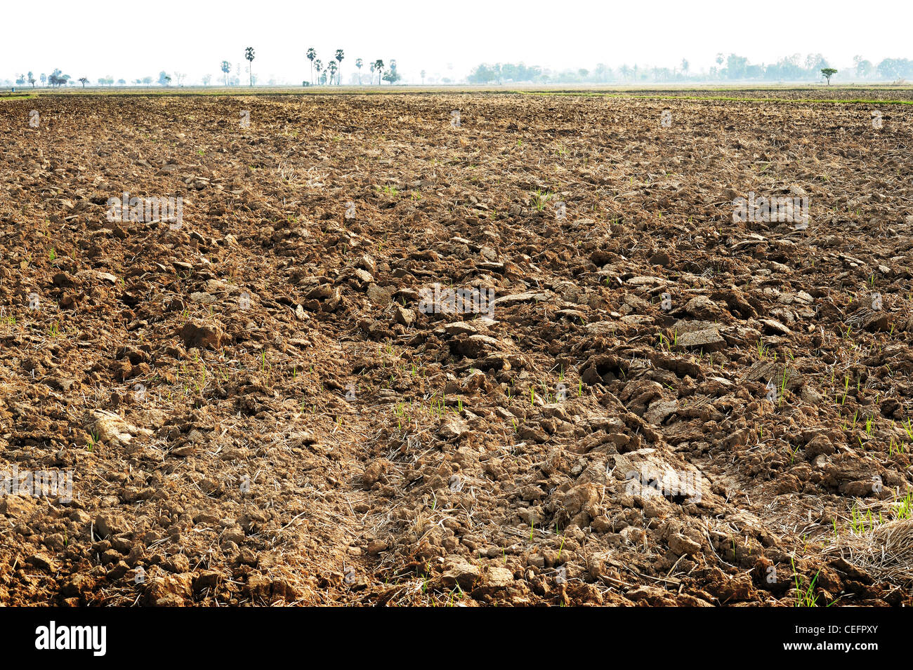 Brown soil -Fotos und -Bildmaterial in hoher Auflösung – Alamy