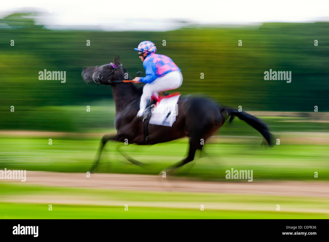 Reiter galoppieren im galopp -Fotos und -Bildmaterial in hoher Auflösung – Alamy