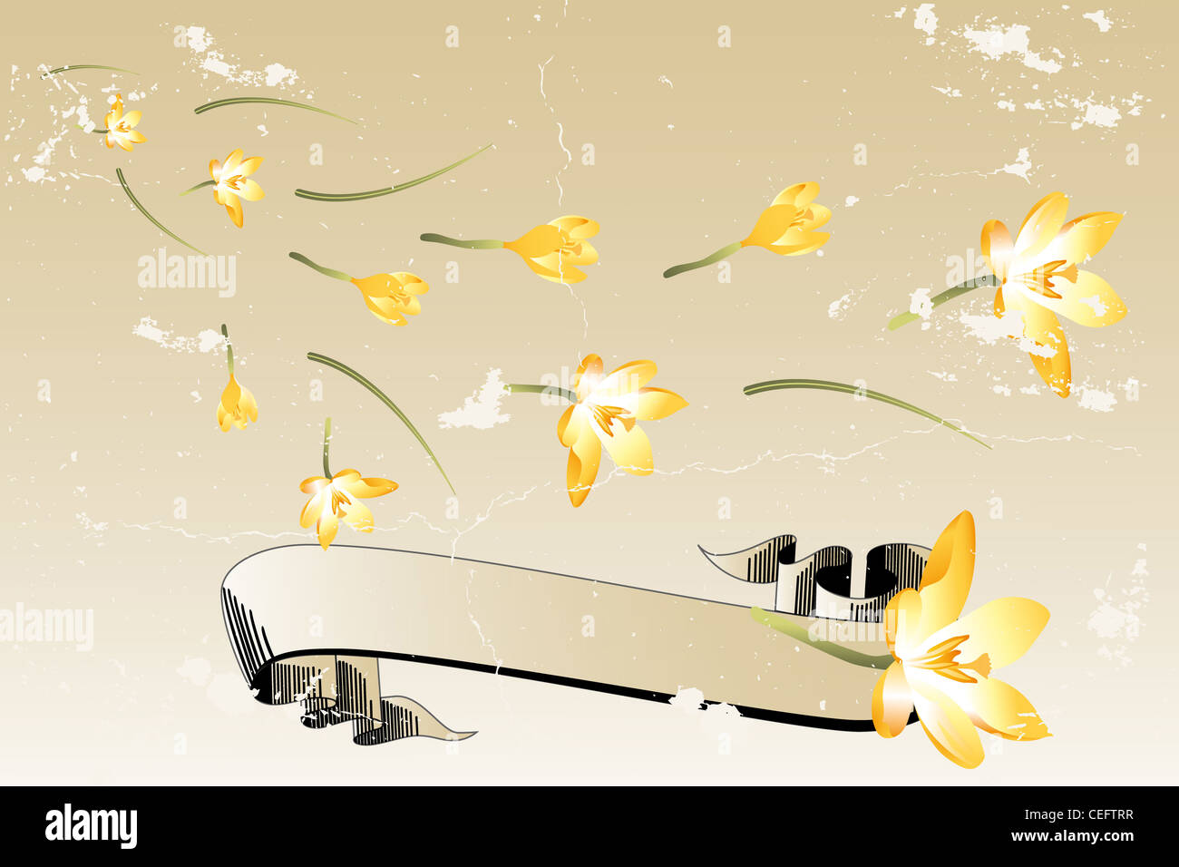 Vintage Feder Illustration mit Krokus und Banner für text ...