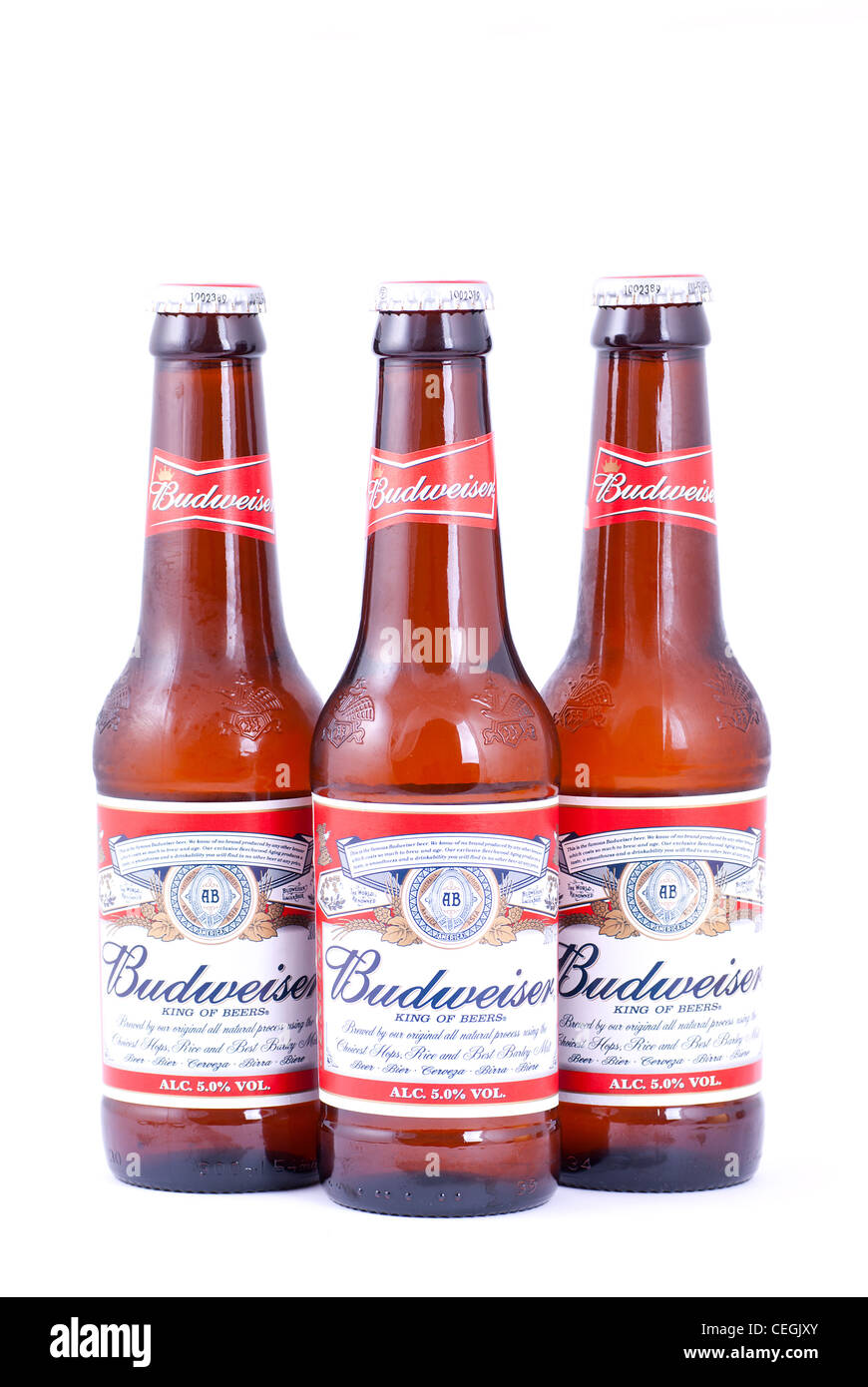Bud bier -Fotos und -Bildmaterial in hoher Auflösung - Seite 3 - Alamy