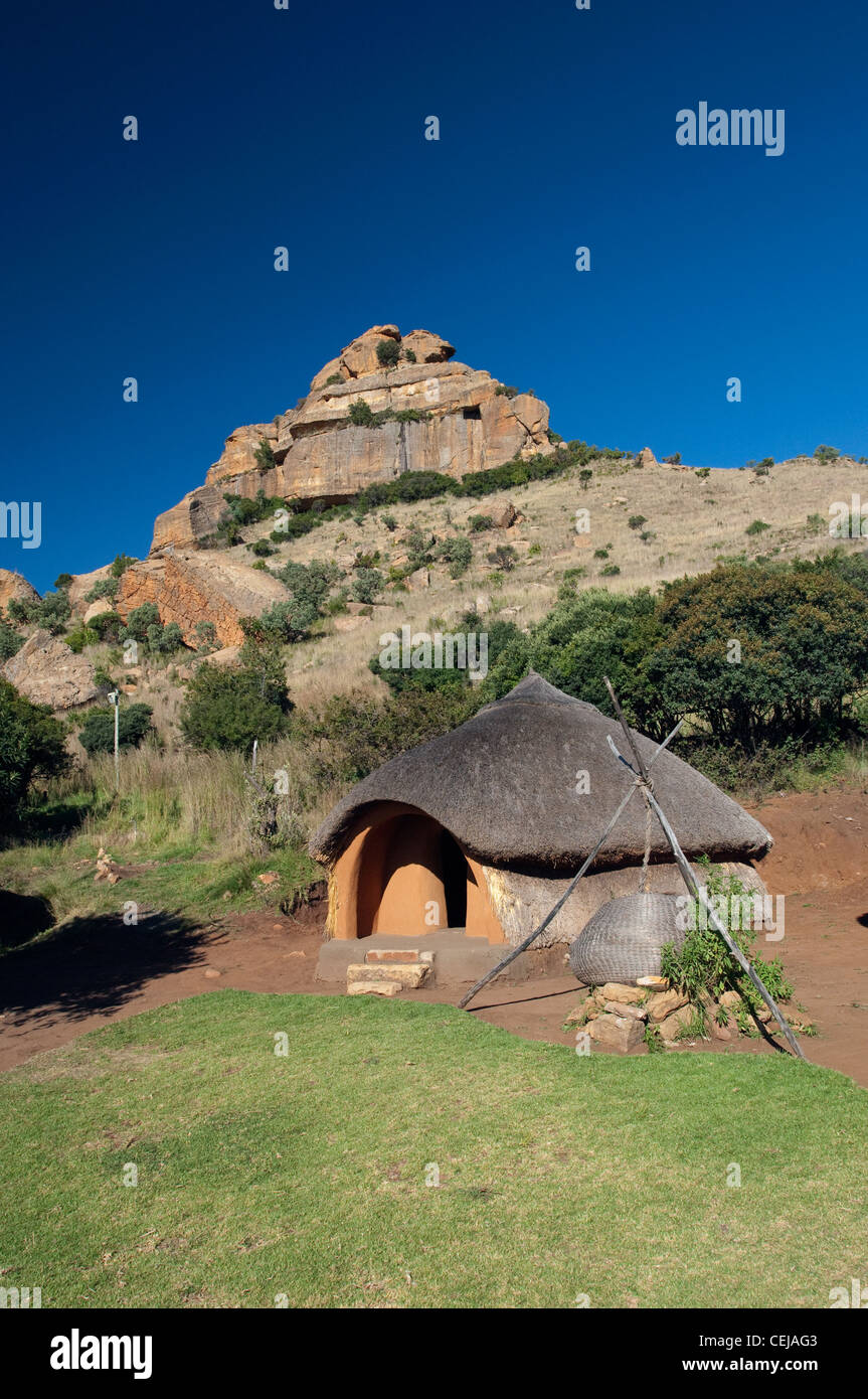 Qwa qwa -Fotos und -Bildmaterial in hoher Auflösung – Alamy