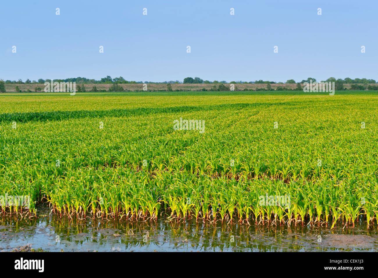 Seeping water -Fotos und -Bildmaterial in hoher Auflösung – Alamy