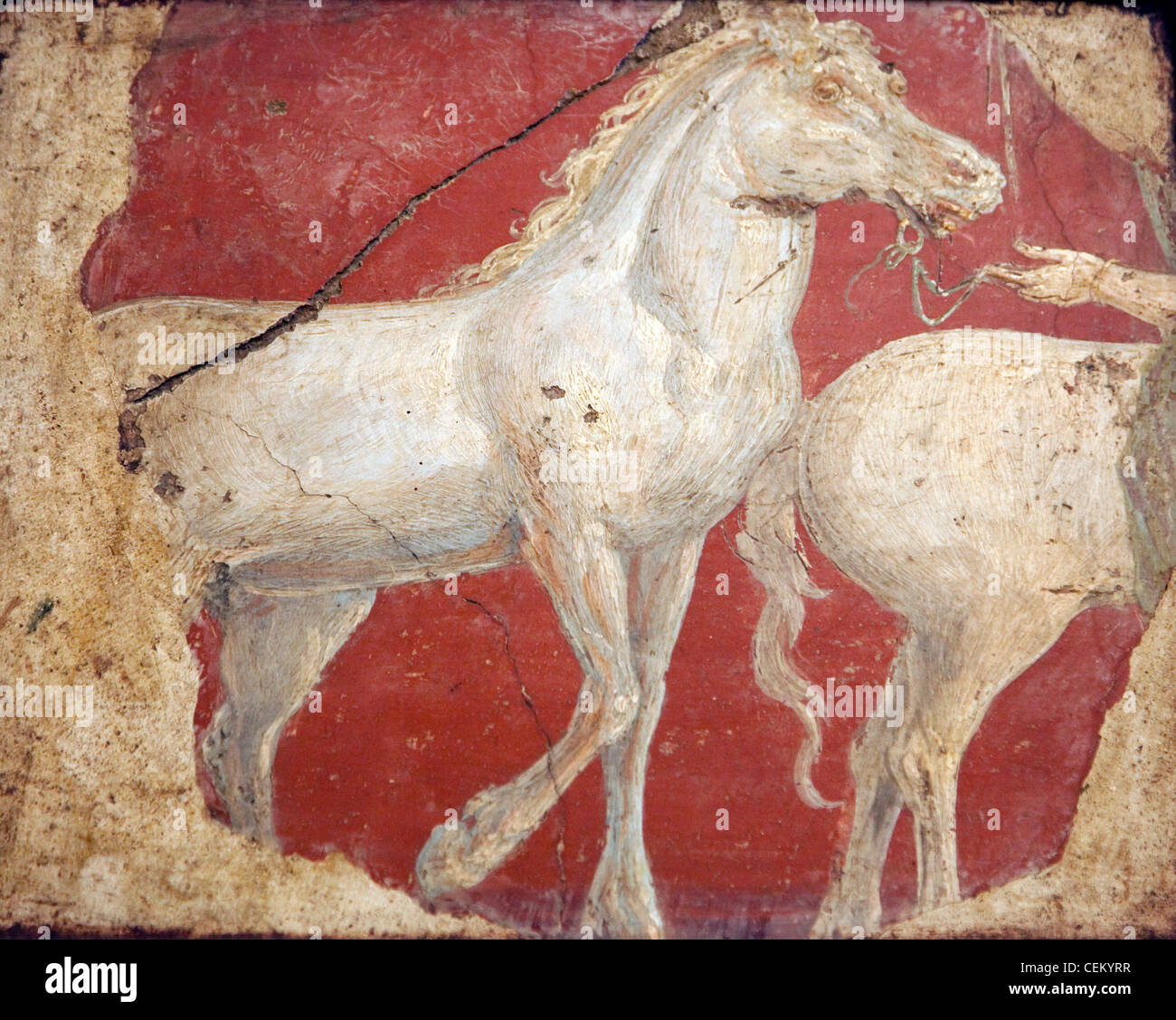 Italien, Neapel, Naples Nationales Archäologisches Museum, von der ...