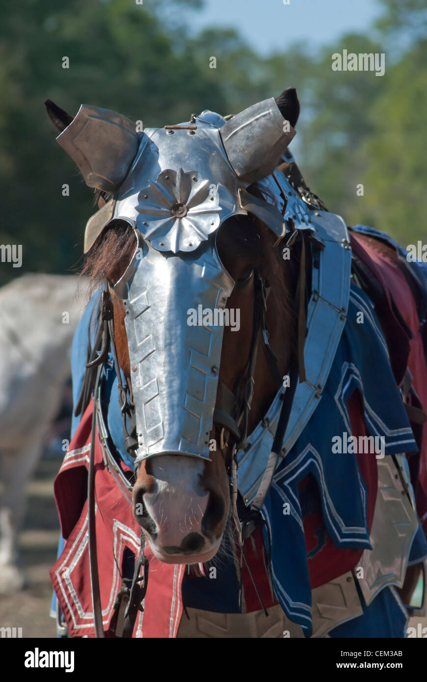Gepanzertes pferd -Fotos und -Bildmaterial in hoher Auflösung – Alamy