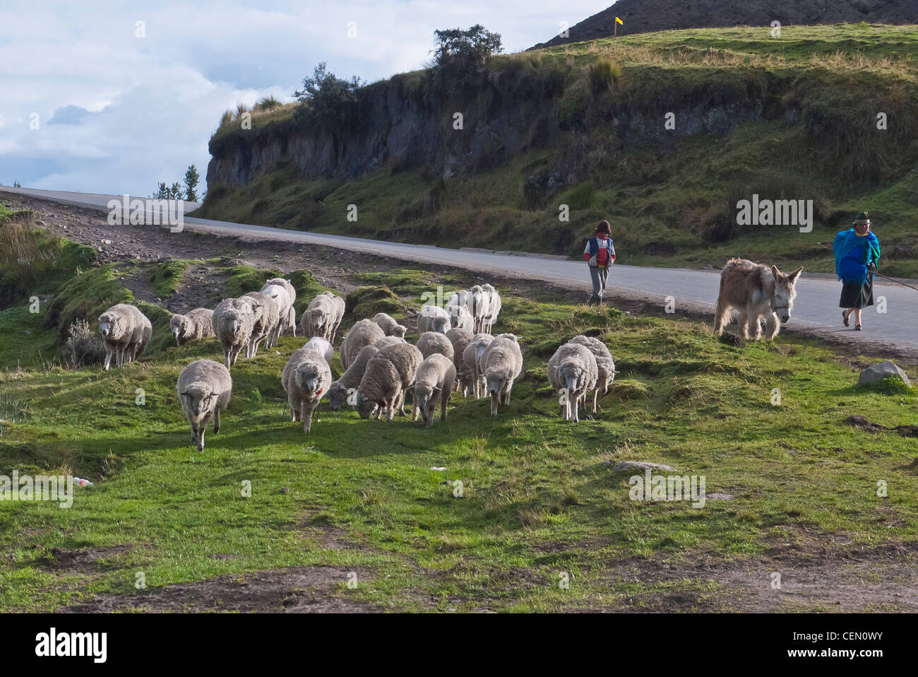 Schafhirte und schafe -Fotos und -Bildmaterial in hoher Auflösung – Alamy