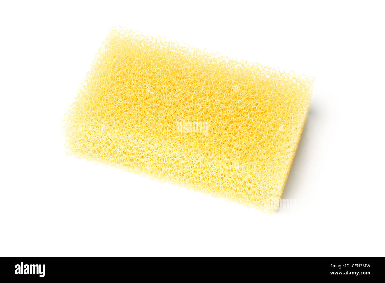 Single schwamm -Fotos und -Bildmaterial in hoher Auflösung – Alamy