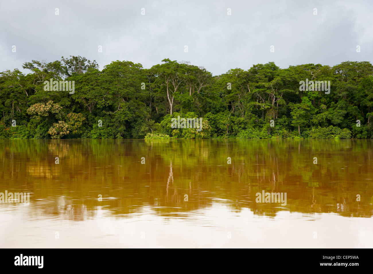 Congo river -Fotos und -Bildmaterial in hoher Auflösung – Alamy