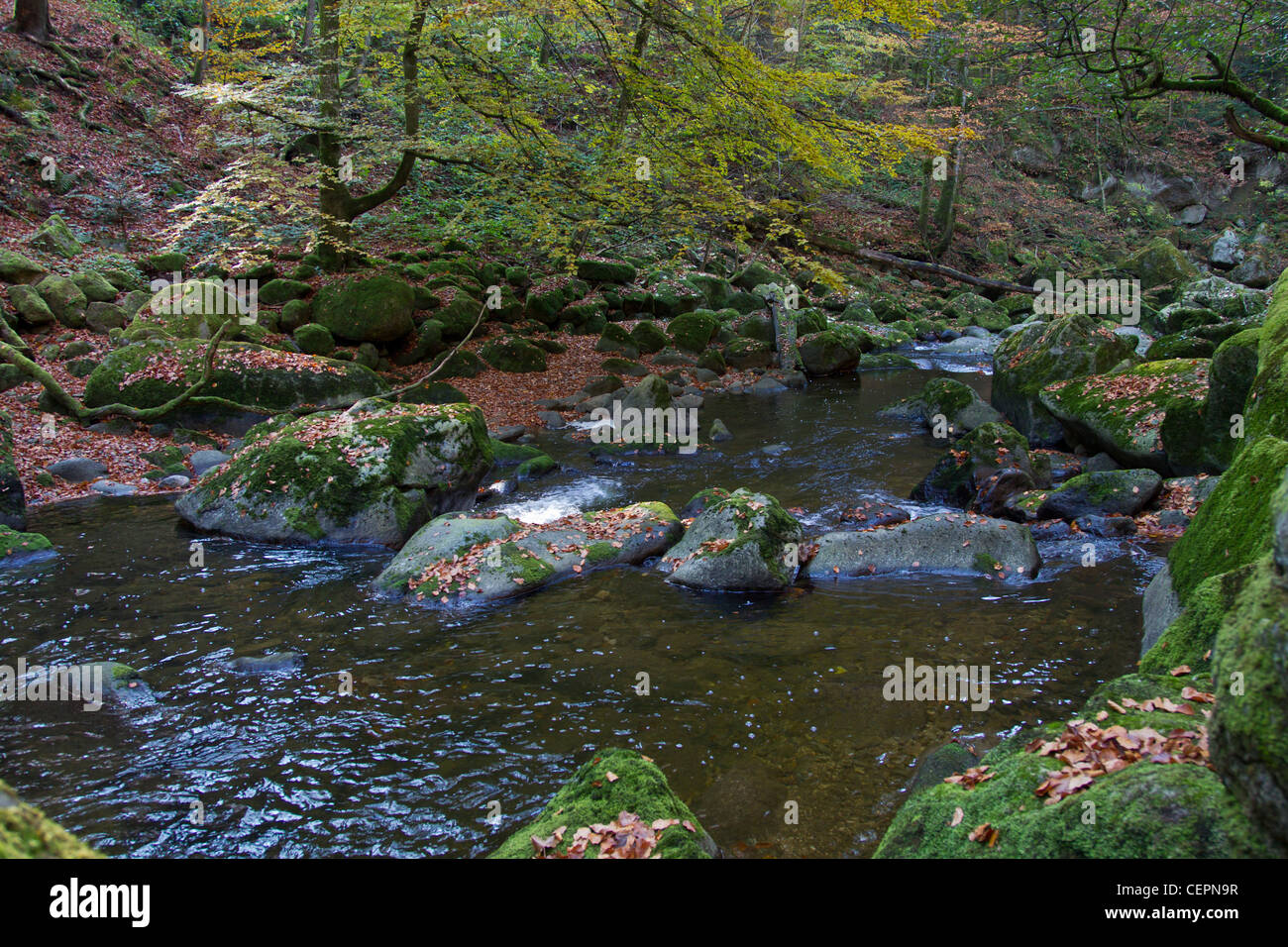Wildbach fluss -Fotos und -Bildmaterial in hoher Auflösung – Alamy