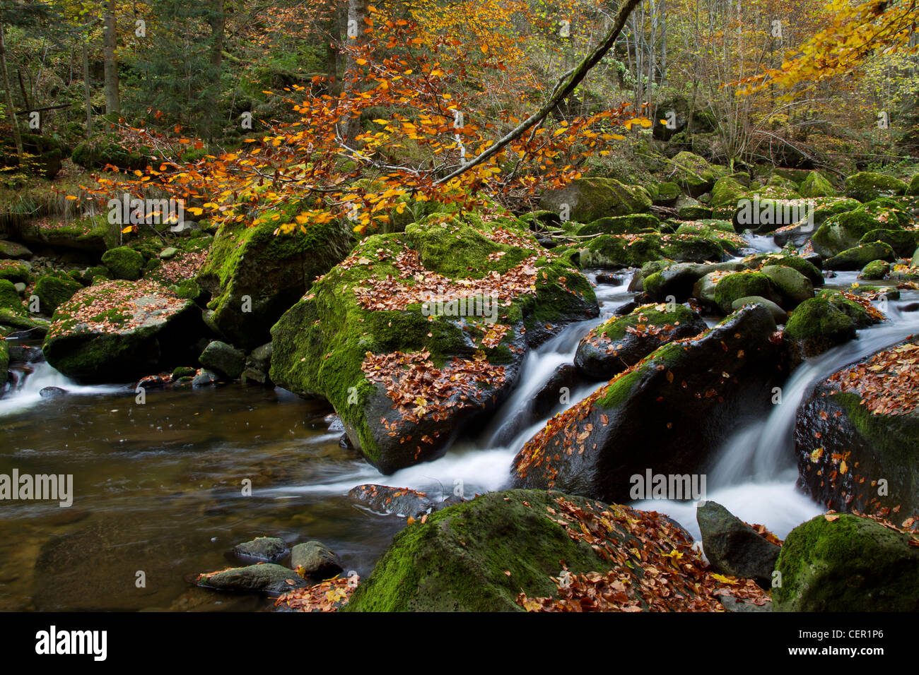 Wildbach fluss -Fotos und -Bildmaterial in hoher Auflösung – Alamy