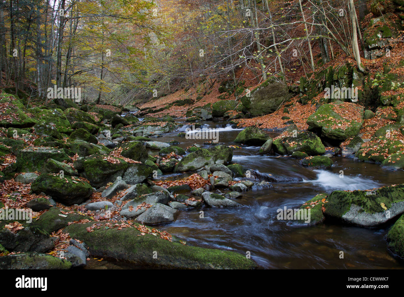 Wildbach fluss -Fotos und -Bildmaterial in hoher Auflösung – Alamy