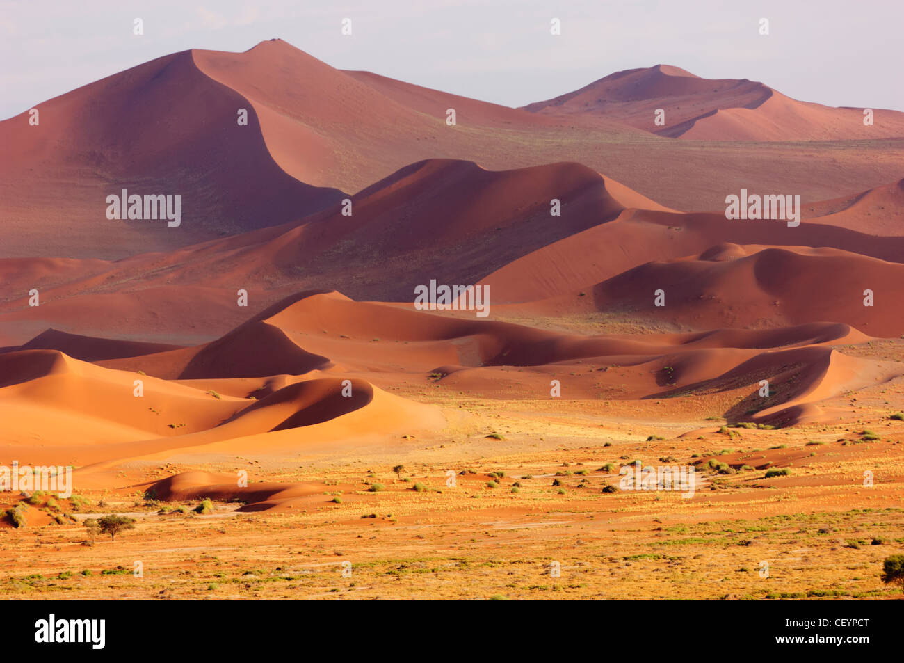 Rot orange sanddünen -Fotos und -Bildmaterial in hoher Auflösung – Alamy