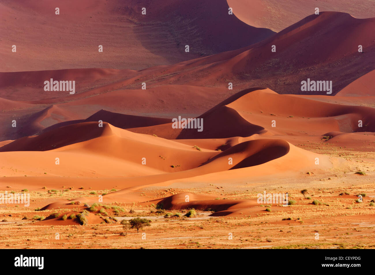 Rote dünen bei sossusvlei -Fotos und -Bildmaterial in hoher Auflösung ...