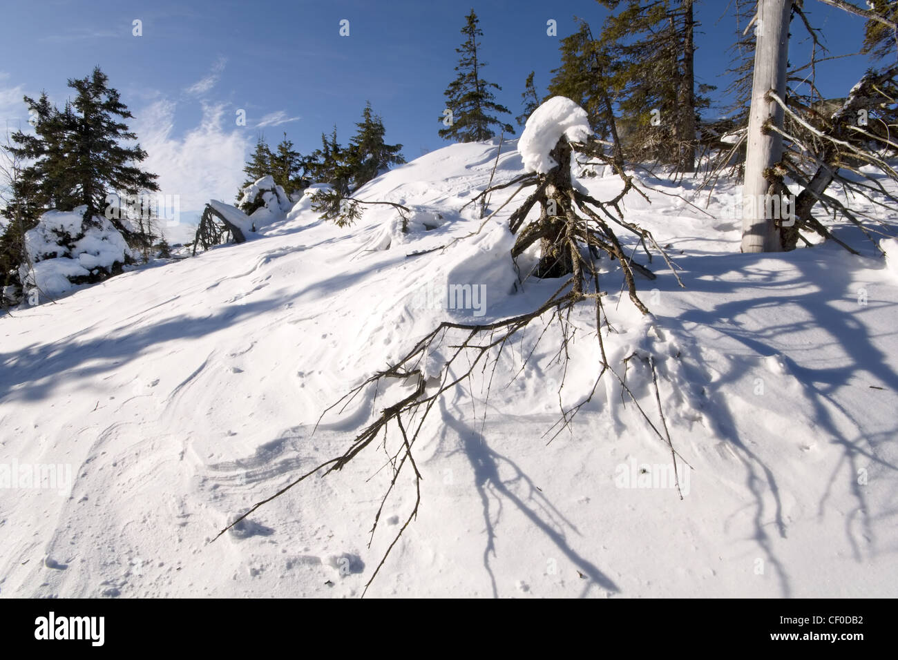 Winterlandschaft. Nationalpark Taganay. Süd-Ural-Gebirge. Taiga ...