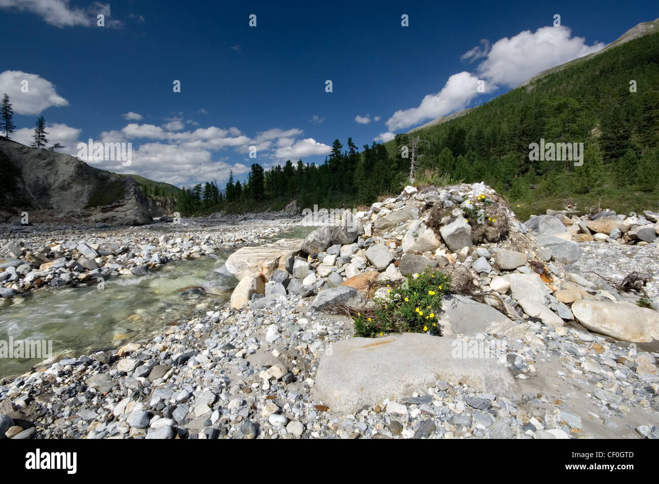 Natur sibirien -Fotos und -Bildmaterial in hoher Auflösung – Alamy