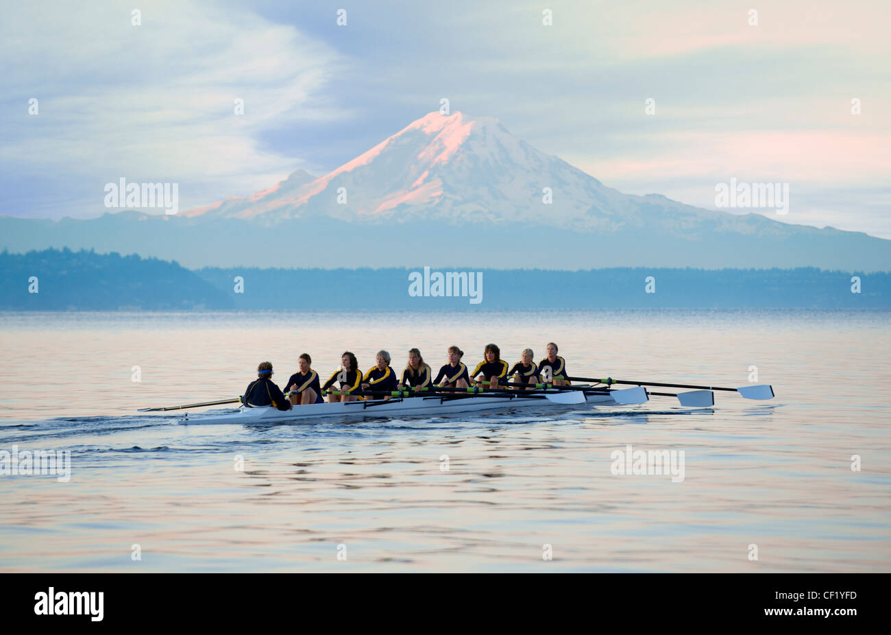 Rudern team boot -Fotos und -Bildmaterial in hoher Auflösung – Alamy