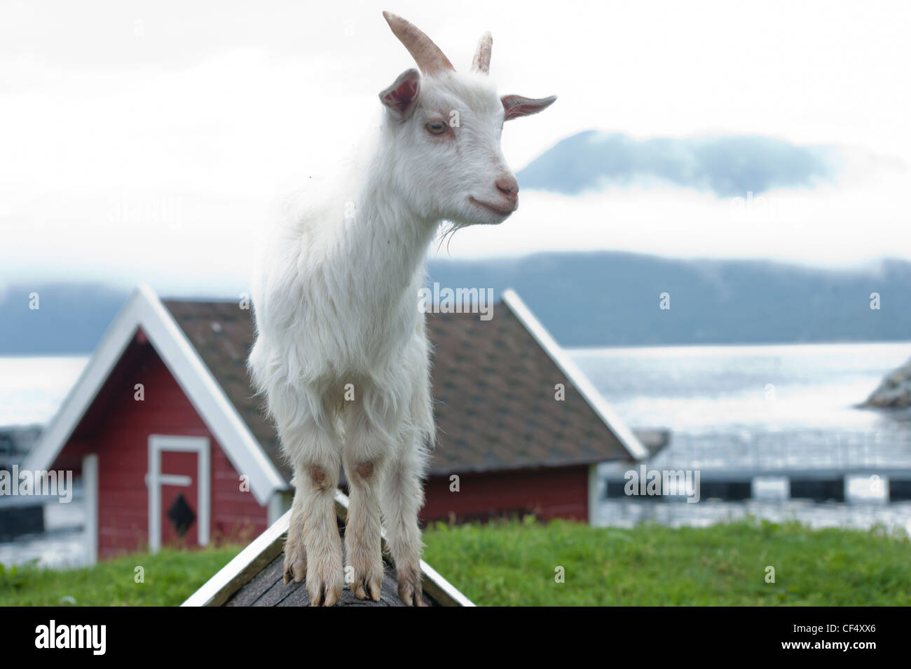 Small hut -Fotos und -Bildmaterial in hoher Auflösung – Alamy