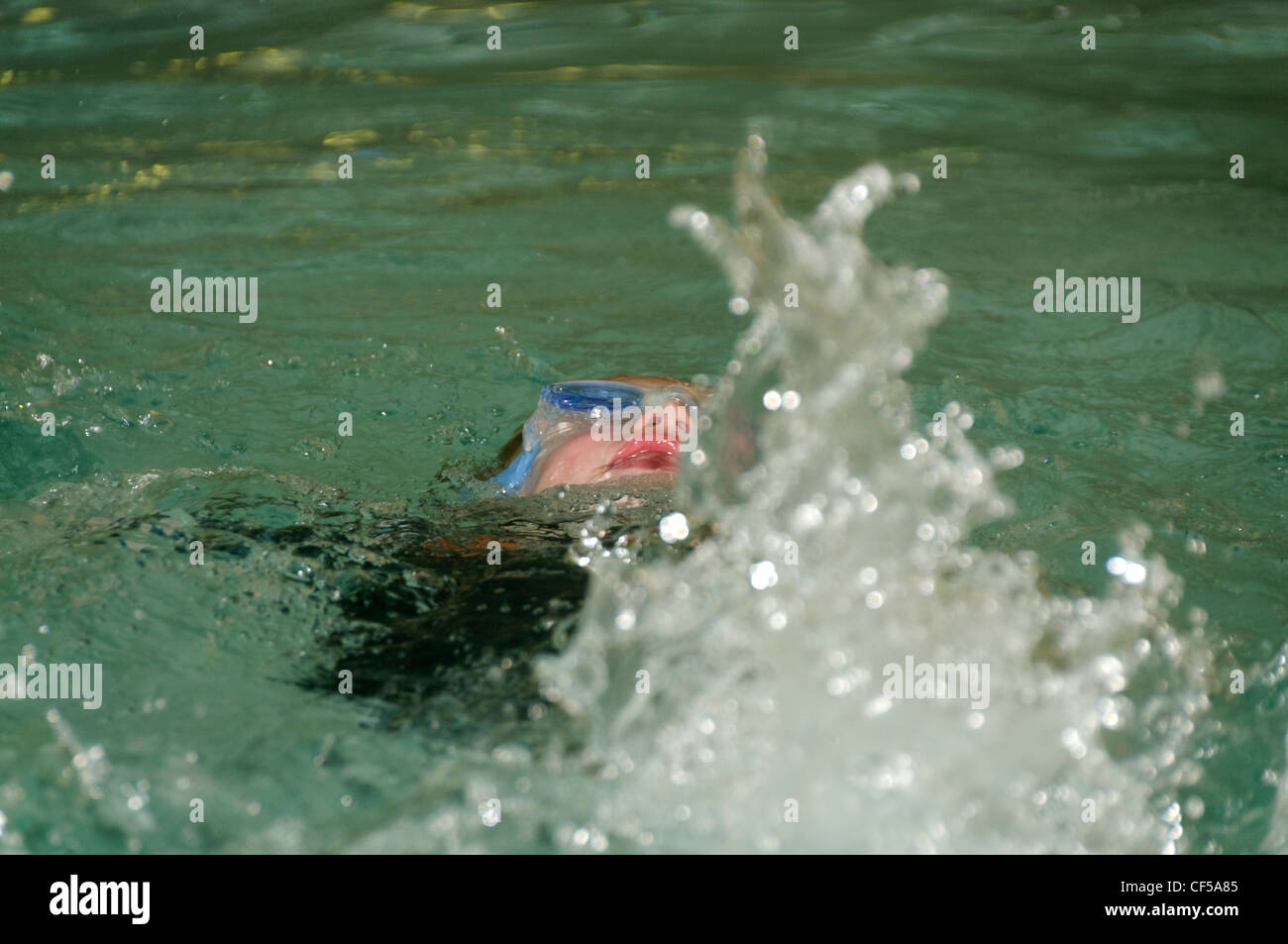 Baden im pool -Fotos und -Bildmaterial in hoher Auflösung – Alamy