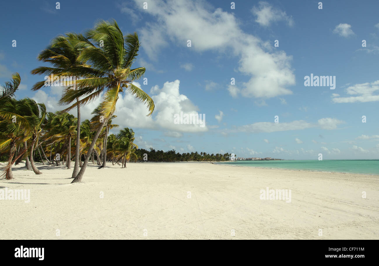 Karibik sandstrand meer horizont -Fotos und -Bildmaterial in hoher ...
