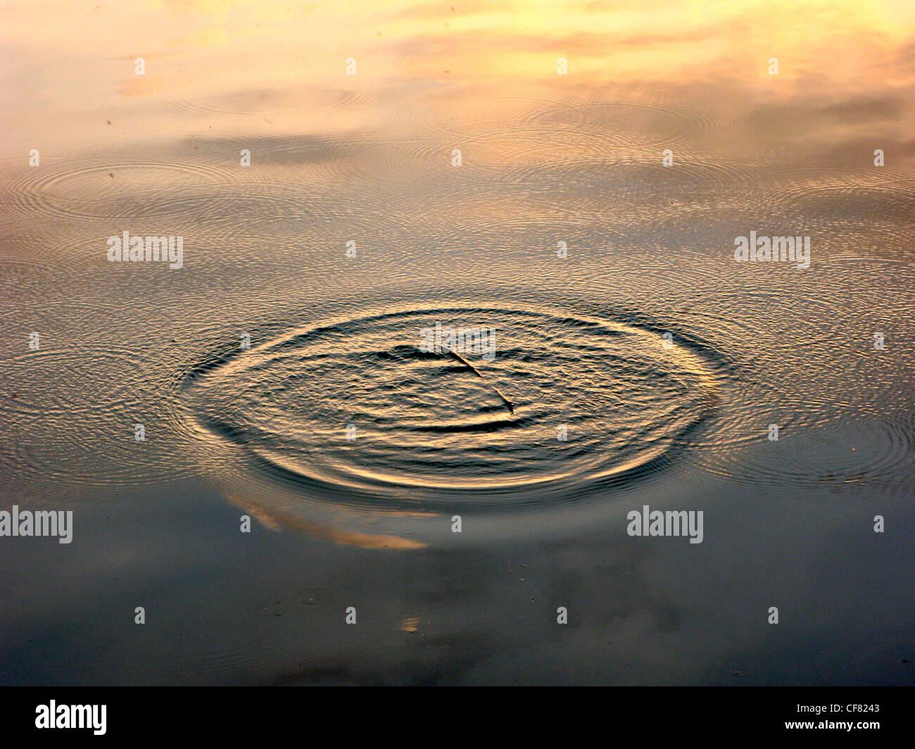Ripple surface -Fotos und -Bildmaterial in hoher Auflösung – Alamy