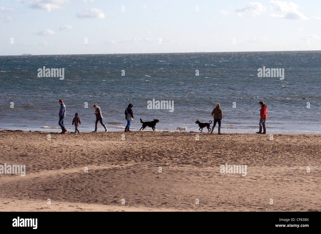 Abwasser überläuft -Fotos und -Bildmaterial in hoher Auflösung – Alamy