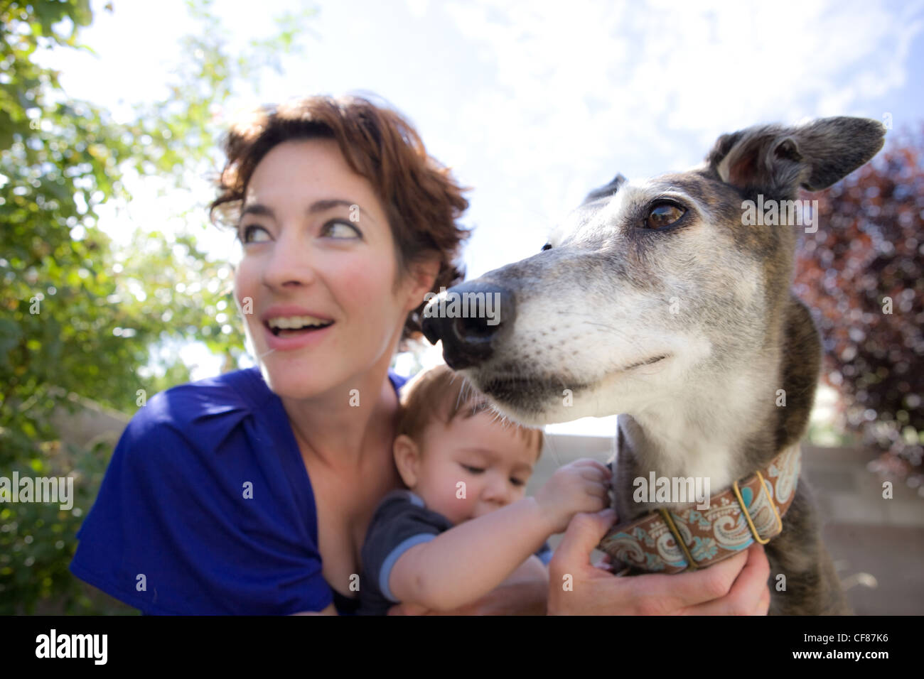 Hund Besitzer Liebe Stockfotos und -bilder Kaufen - Alamy