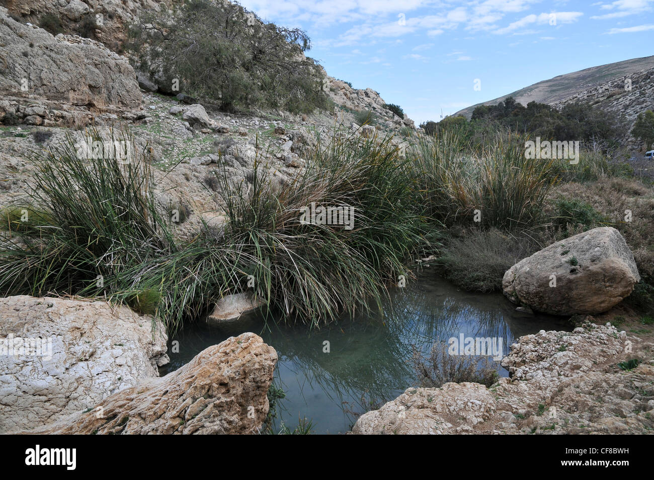 Hiking israel -Fotos und -Bildmaterial in hoher Auflösung – Alamy