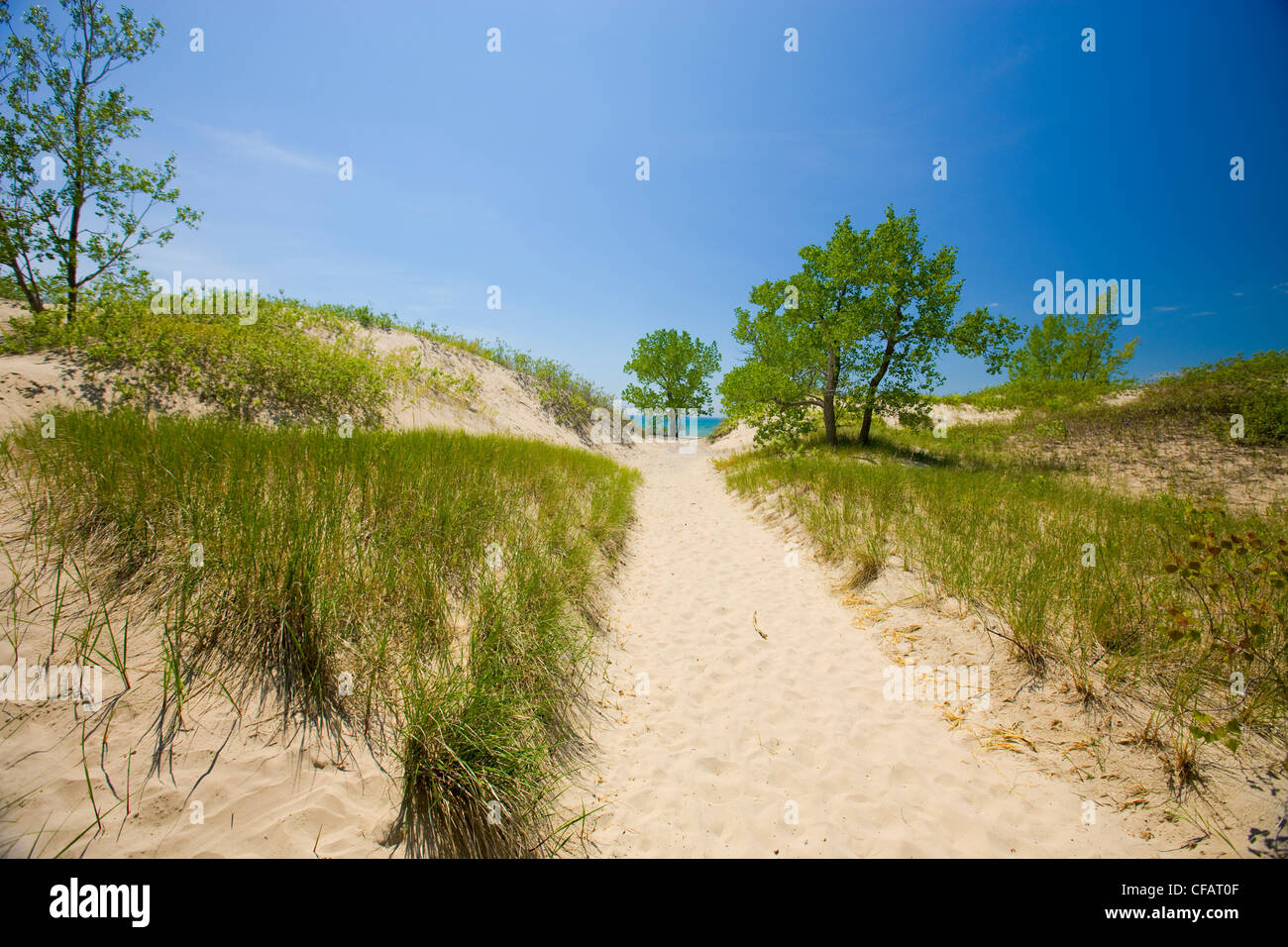 Sandigen Strand des Lake Ontario in Sandbanks Provincial Park, Prince ...