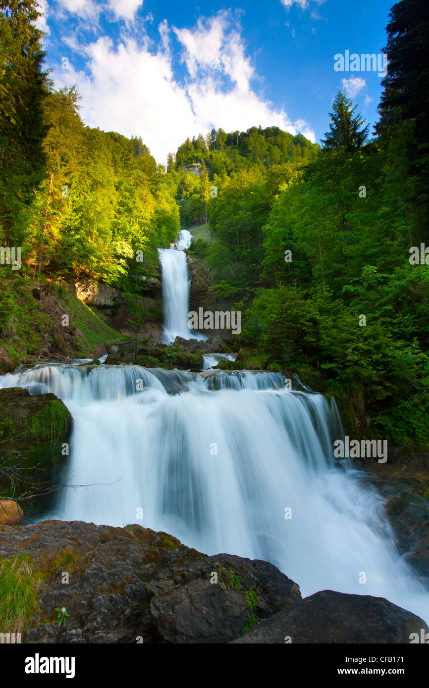 Giessbach, Schweiz, Kanton Bern, Berner Oberland, Holz, Wald, Bach ...