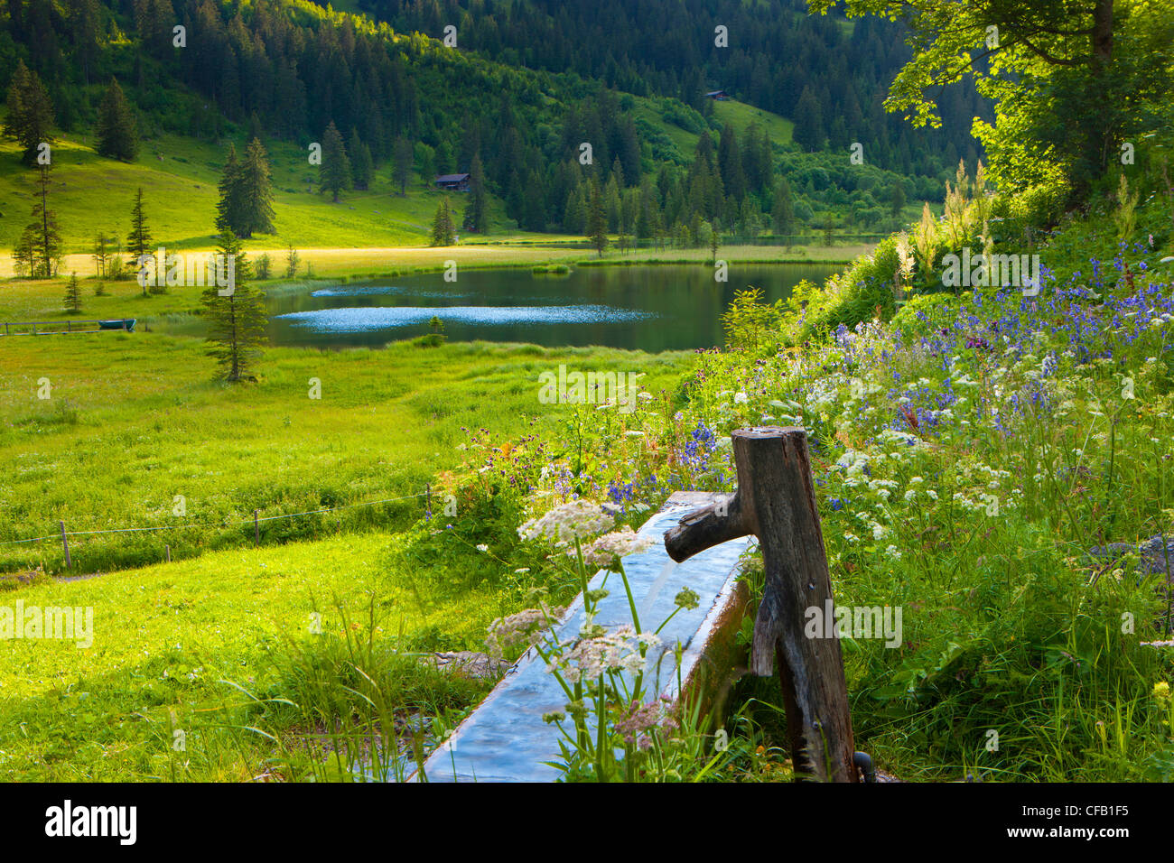 Lauenensee, Schweiz, Kanton Bern, Berner Oberland, See, See, Wiese ...