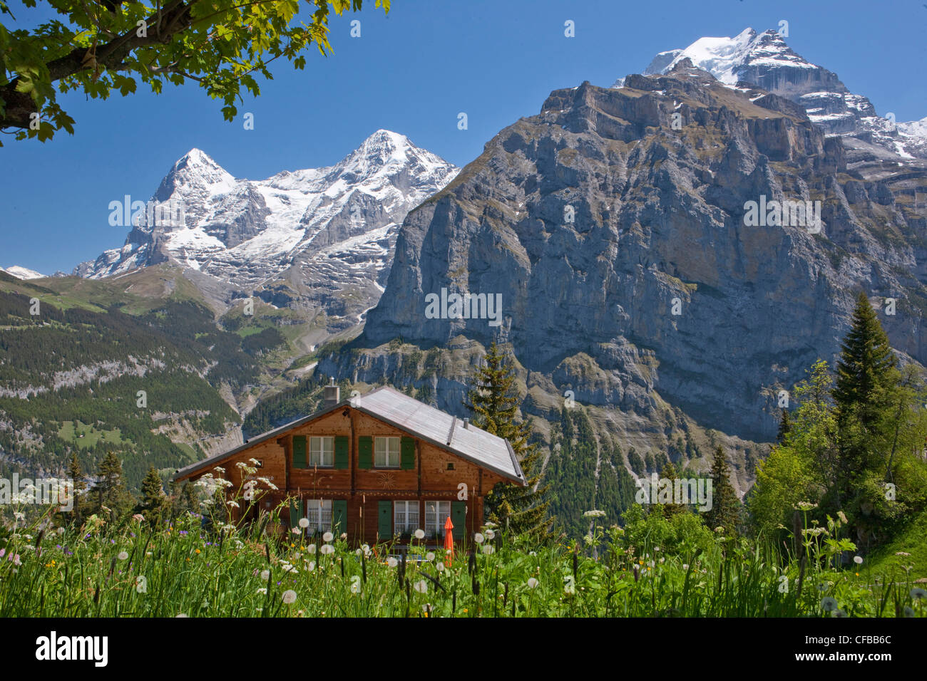 Berg, Gebirge, Kanton Bern, Berner Alpen, Schweiz, Europa, Berner ...