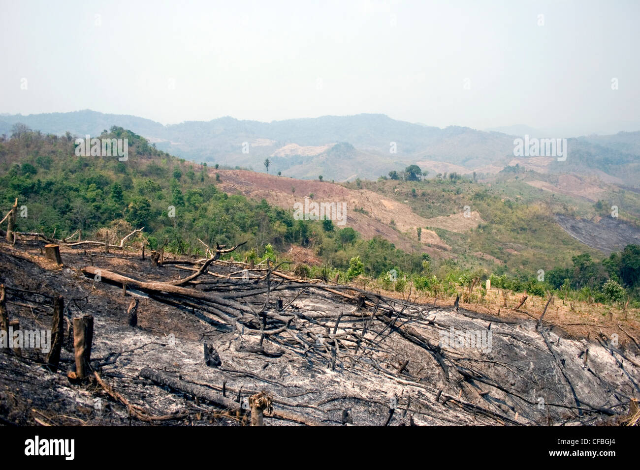 Scorched earth -Fotos und -Bildmaterial in hoher Auflösung – Alamy
