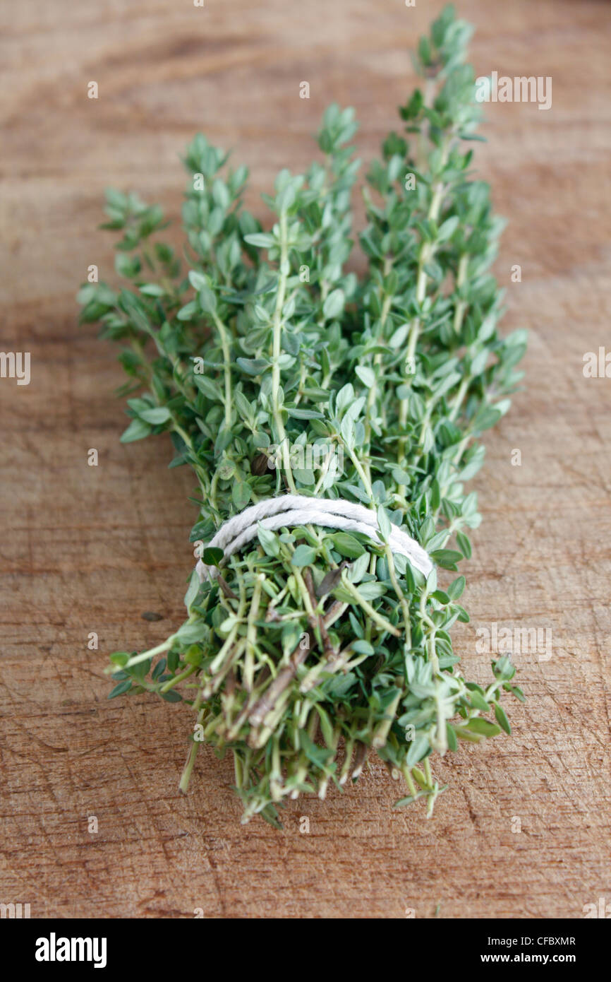 Mit thymian -Fotos und -Bildmaterial in hoher Auflösung – Alamy