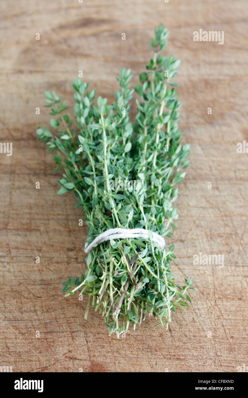 Zweig Thymian Stockfotos und -bilder Kaufen - Alamy