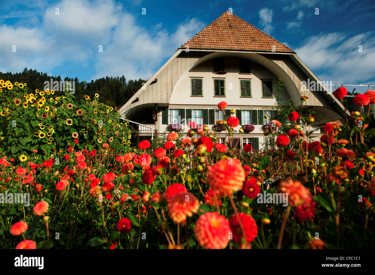 Der bauerngarten -Fotos und -Bildmaterial in hoher Auflösung – Alamy