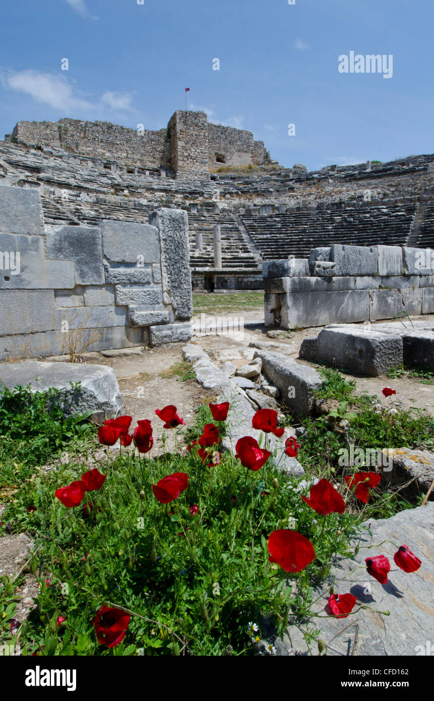 Rote mohnblumen und alte stadtmauern -Fotos und -Bildmaterial in hoher ...
