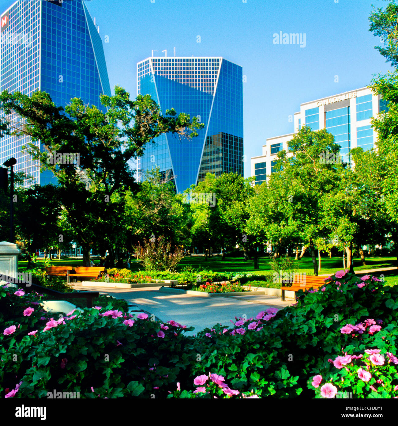Stadtpark und Office Towers, Regina, Saskatchewan, Kanada ...