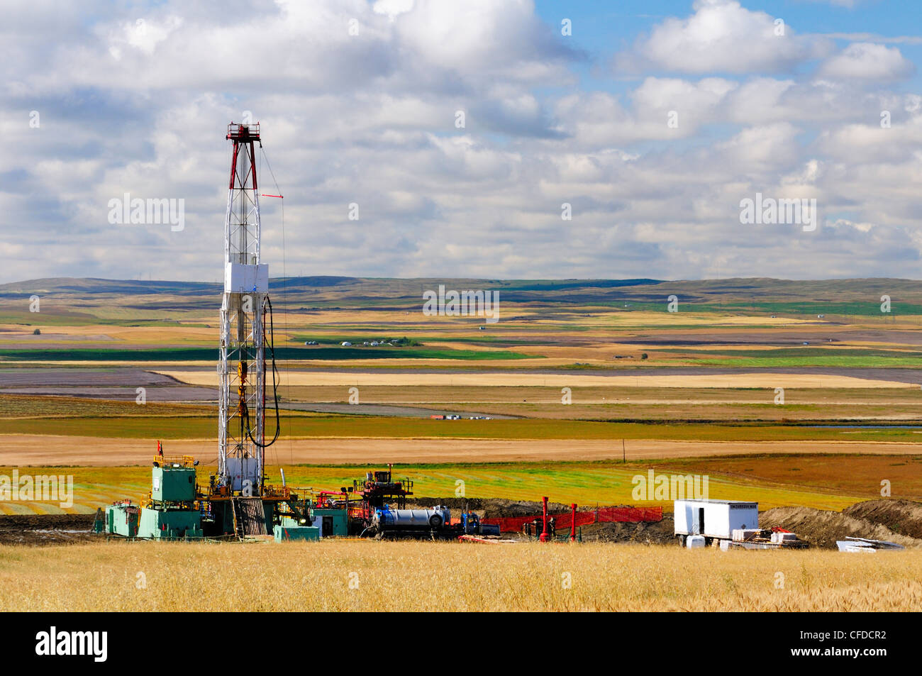 Milo field crops -Fotos und -Bildmaterial in hoher Auflösung – Alamy