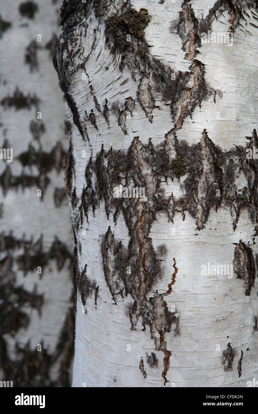 Finland kemi -Fotos und -Bildmaterial in hoher Auflösung – Alamy